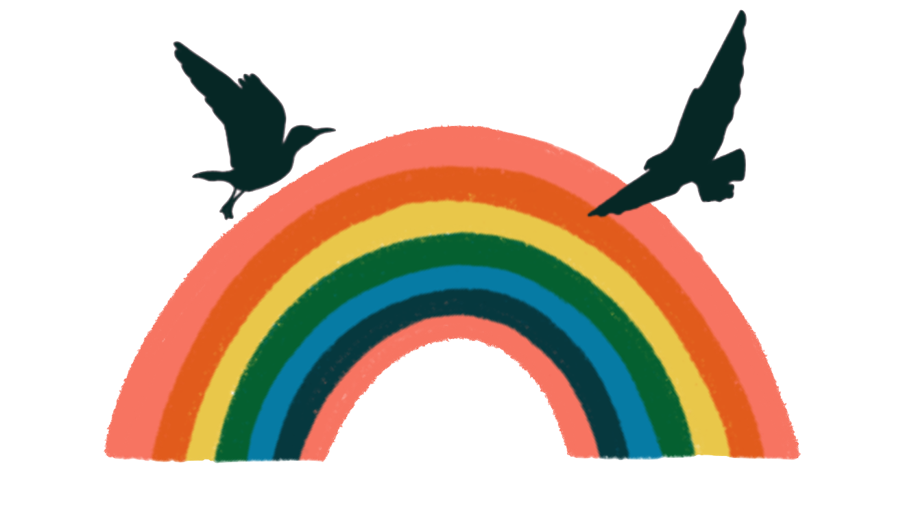 The Book of Brighton & Hove - LOOKOUT Brighton